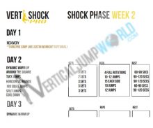 Vert Shock Review 2021: 5 Reasons Why This Jump Program Is LEGIT!
