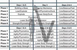 Top 10 Best Vertical Jump Training Programs Of 2022 [Buyers Guide ...